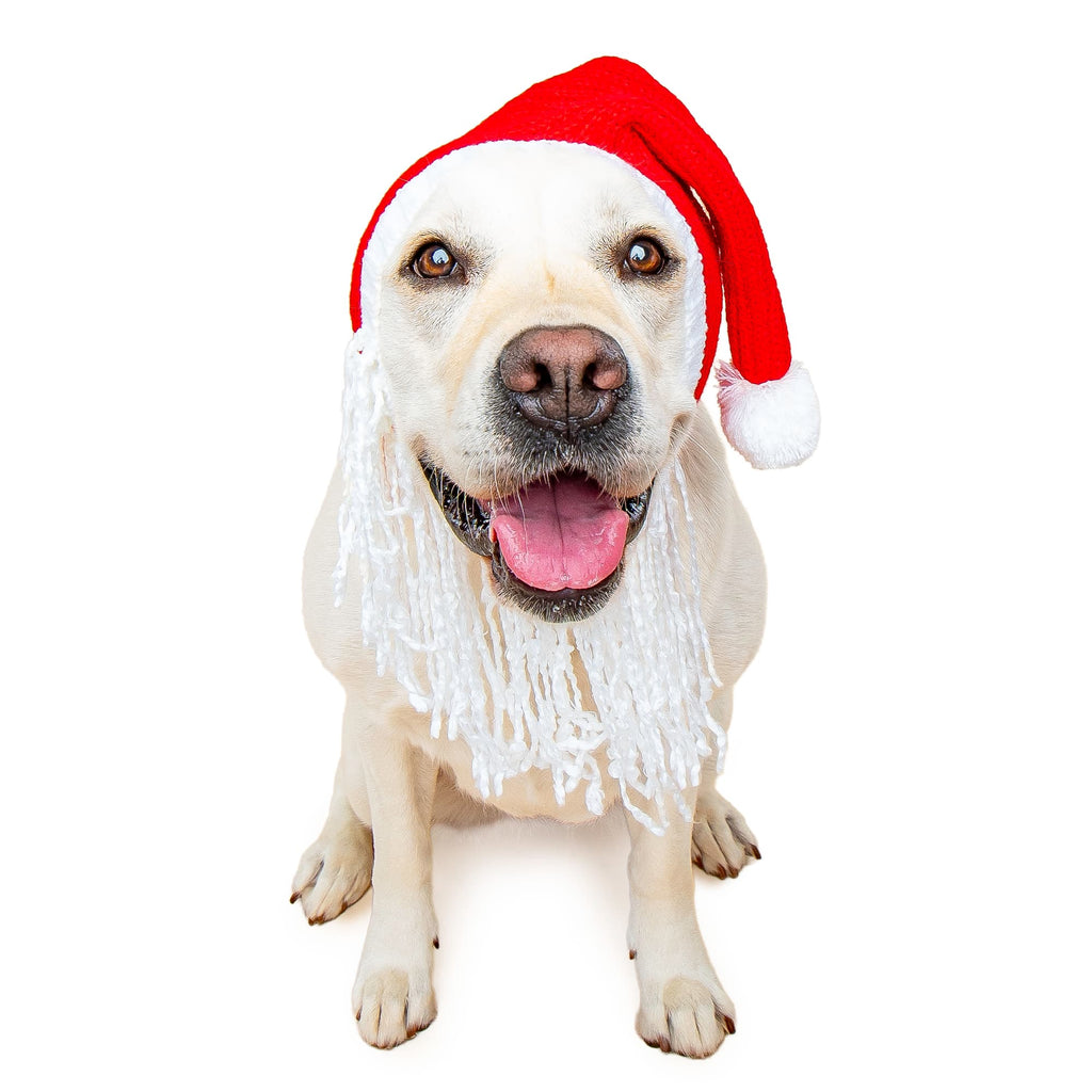 Zoo Snoods - Santa Hat w/Beard Dog Snood