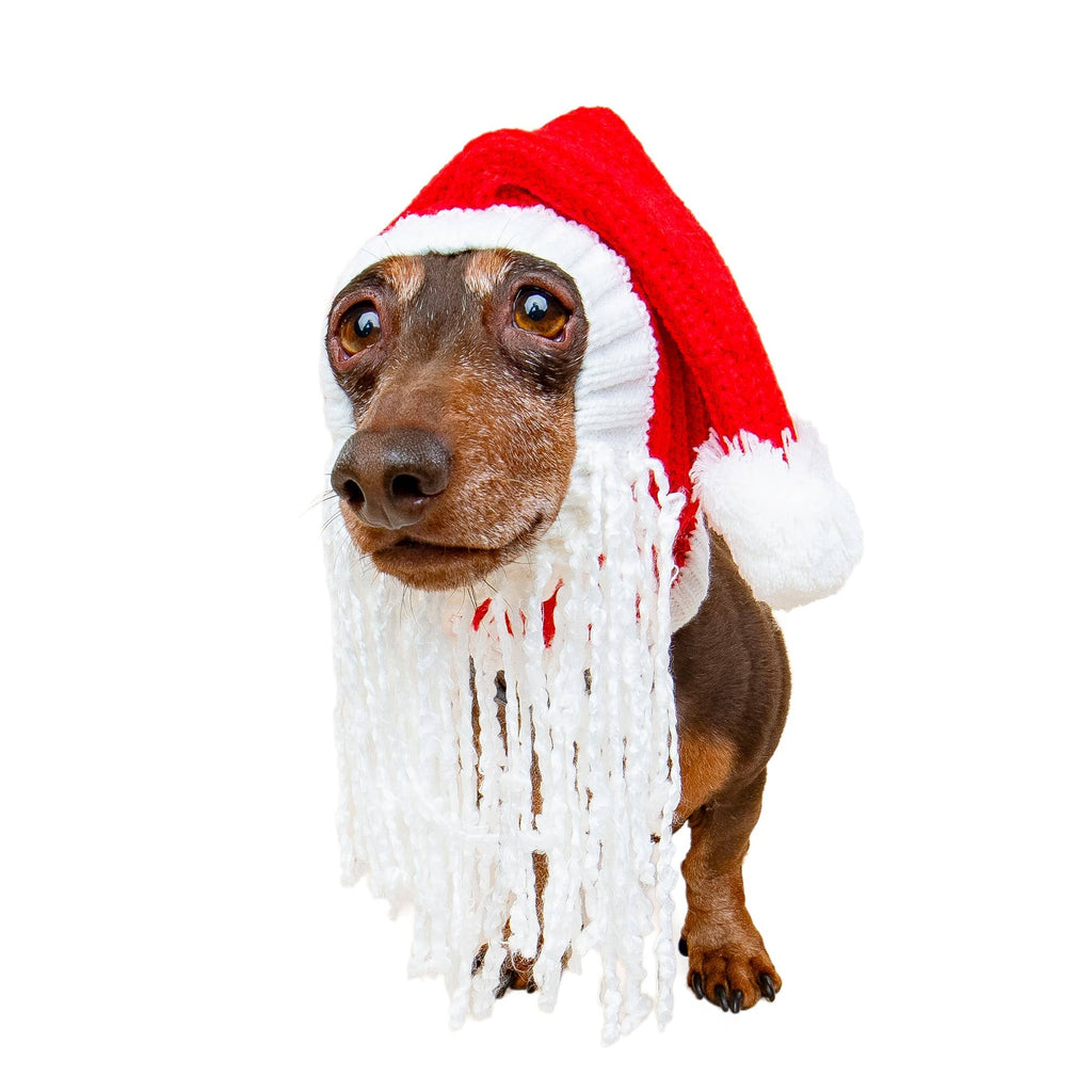 Zoo Snoods - Santa Hat w/Beard Dog Snood