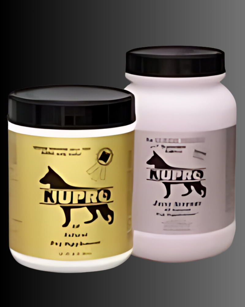 Pet Supplies > Dog and Cat Beds, Pet Clothing, Pet Toys & Treats > Dog