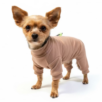 Dog Four Legged Base Layer | Dog.Dog.Cat.