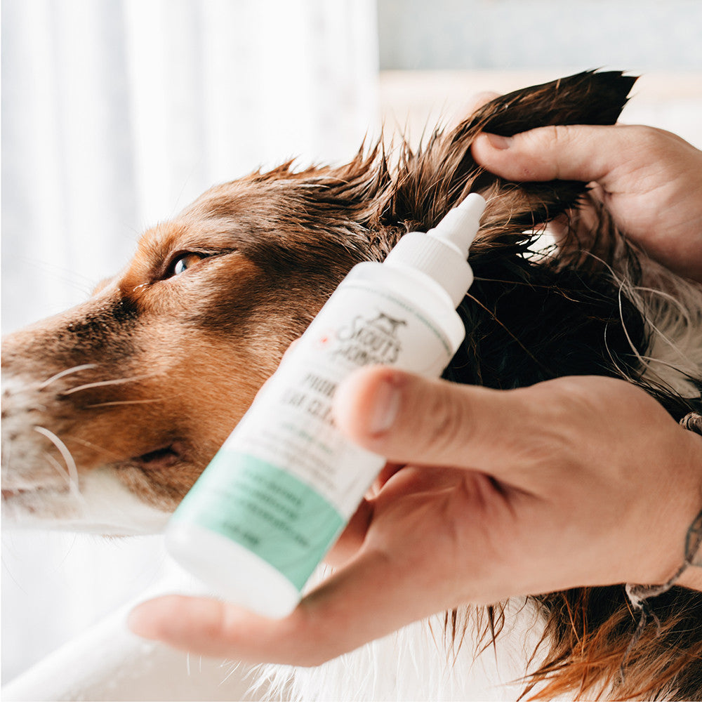 Skout's Honor Probiotic Ear Cleaner Dogs & Cats 4oz | Alcohol-Free with ...