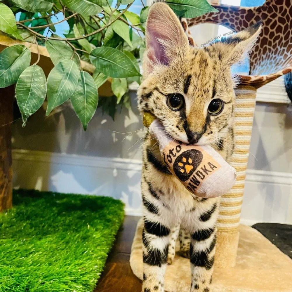 Huxley & Kent Toto's Pawdka Plush Cat Toy - Squeaky Crinkle Vodka ...